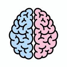 Enhancing Brain Function: The Transformative Power of Exercise ...