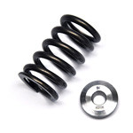 Brian Crower Valve Springs & Retainer Kit | Evo X