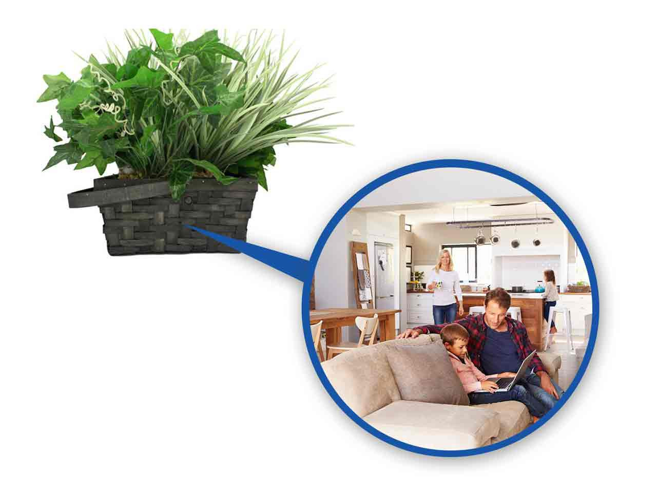4K Hidden Camera Plant | Household Hidden Camera