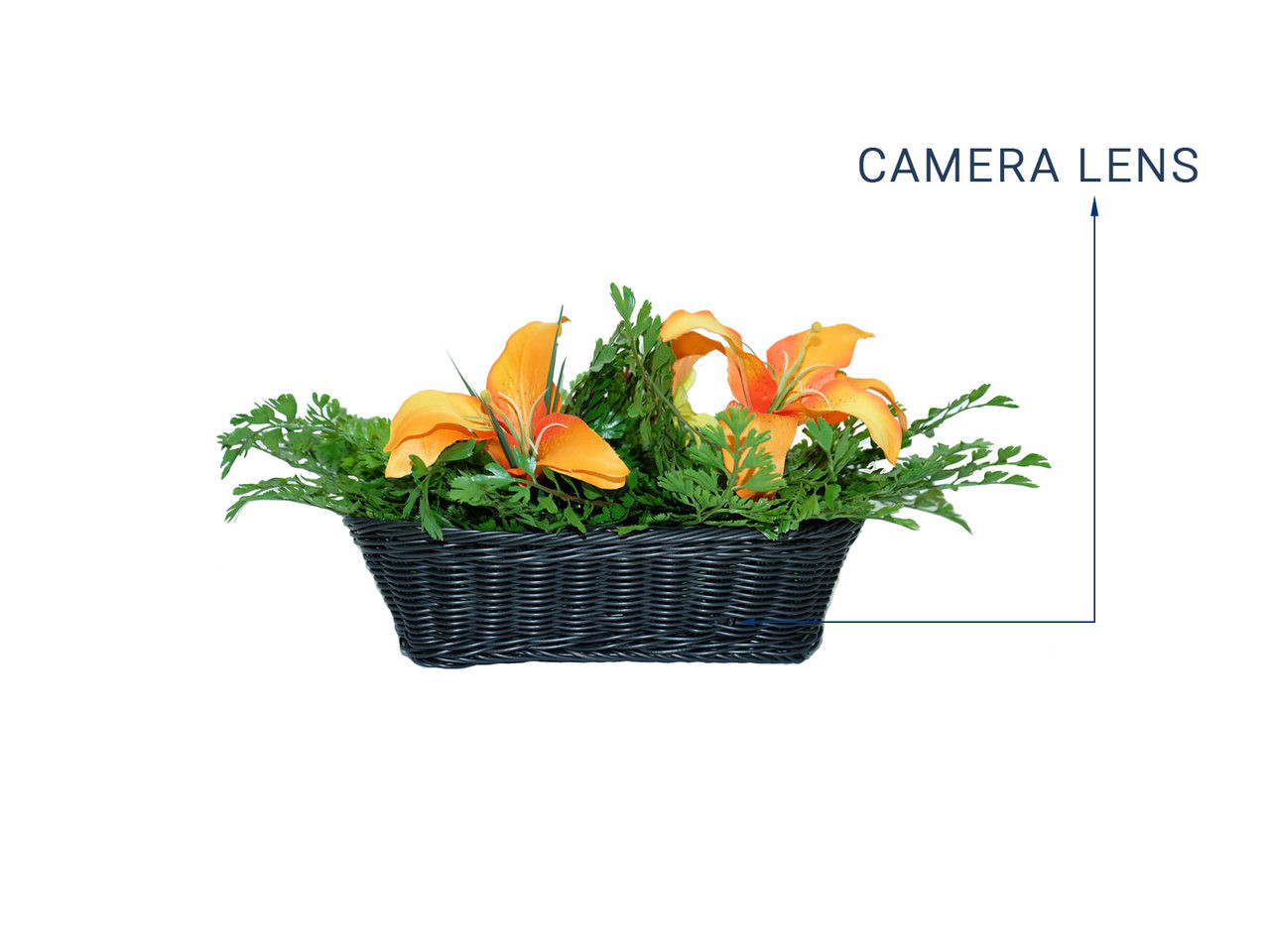 4K Hidden Camera Plant | Household Hidden Camera