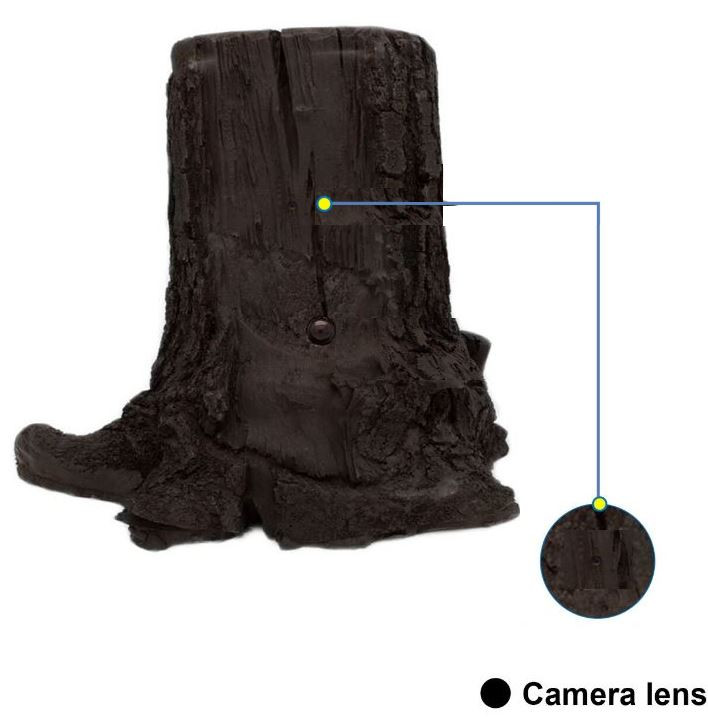 4K Tree Stump Hidden Camera - 4K Outdoor Security Camera