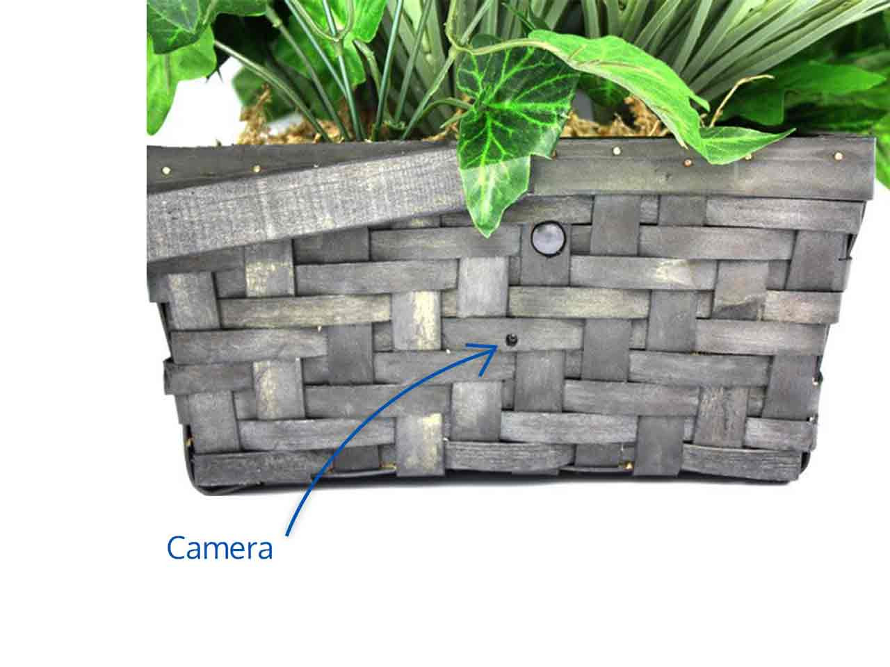 4K Hidden Camera Plant | Household Hidden Camera