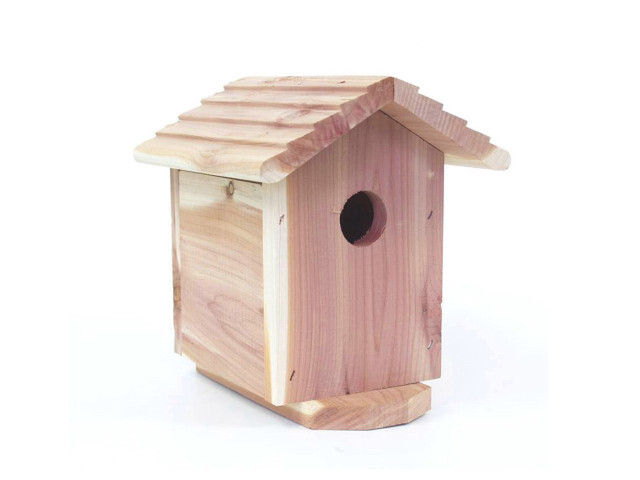 Outdoor Spy Camera | Weatherproof Hidden Security Cameras