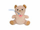 Wireless Teddy Bear Hidden Camera | Teddy Bear Nanny Cam