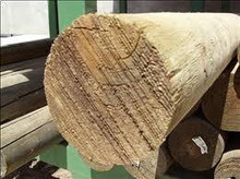 Treated Pine Logs Perfect Rounds - Hardware & General