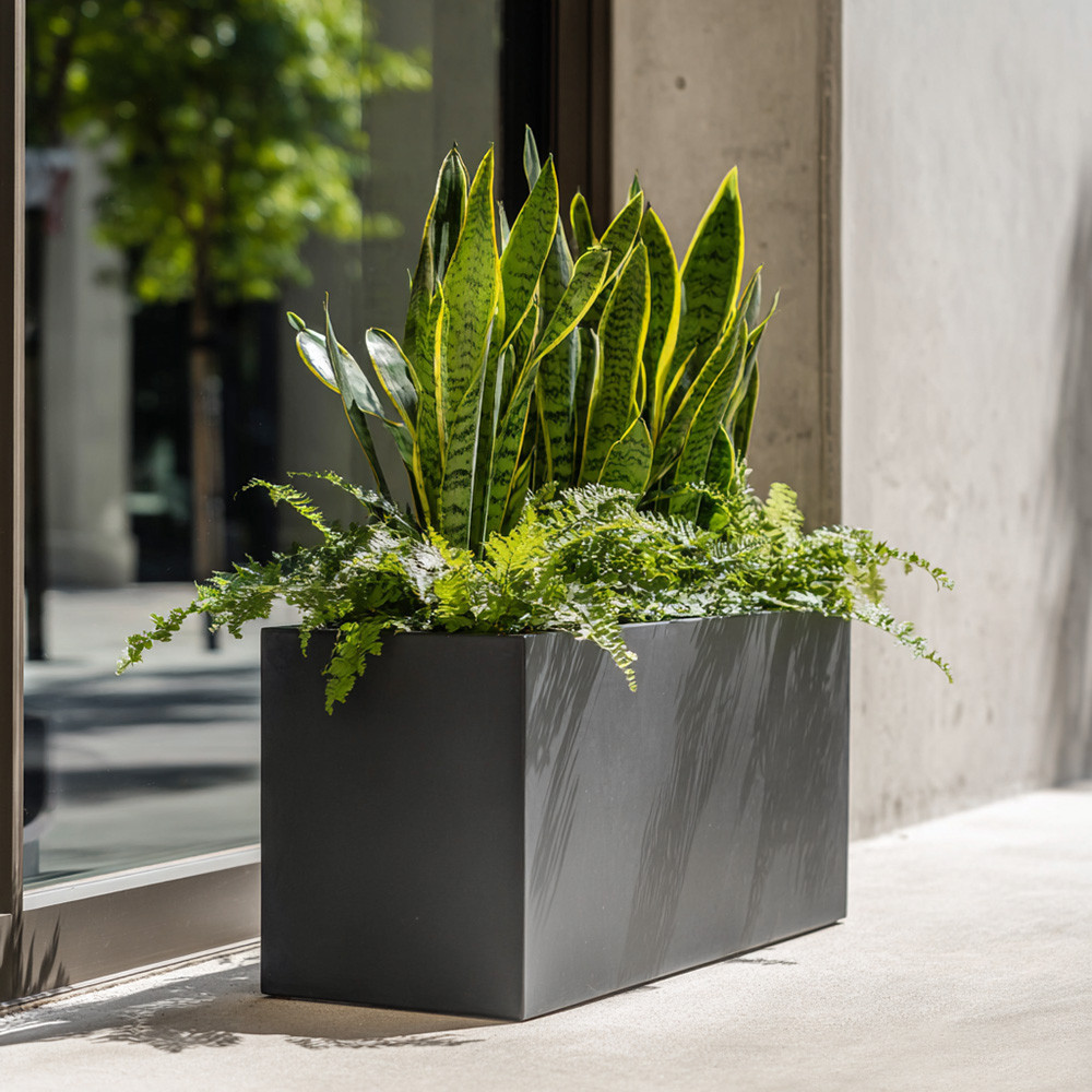 Office Planters for Workplaces, Lobbies and Interiors