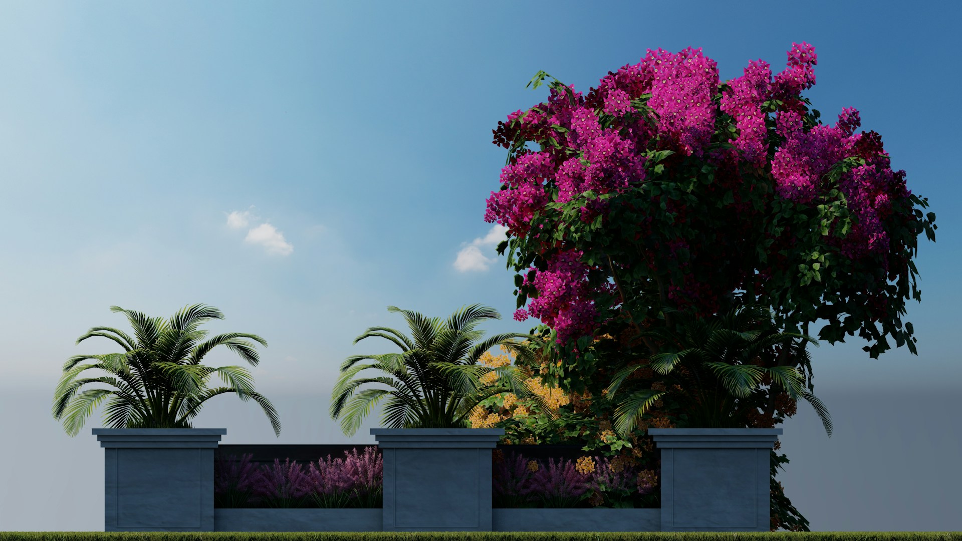 Plant Container Size Guides - Pots Planters & More