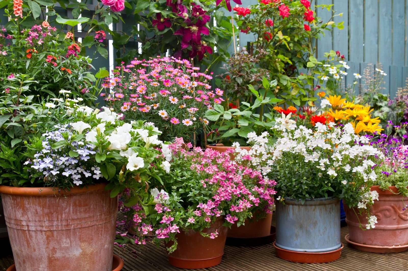 How to Arrange Garden Pots - Pots Planters & More