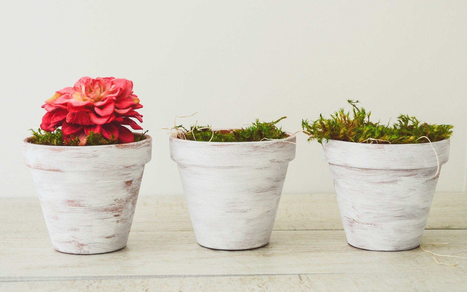 The Ultimate Buyer’s Guide to Planter Materials - Pots Planters & More