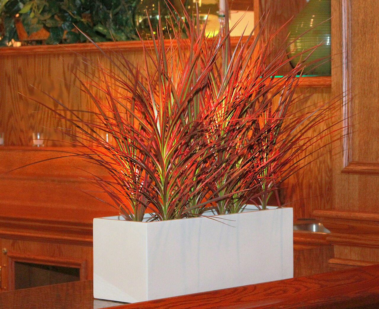 Tips for Using Plants as Part of Your Commercial Space - Pots Planters ...