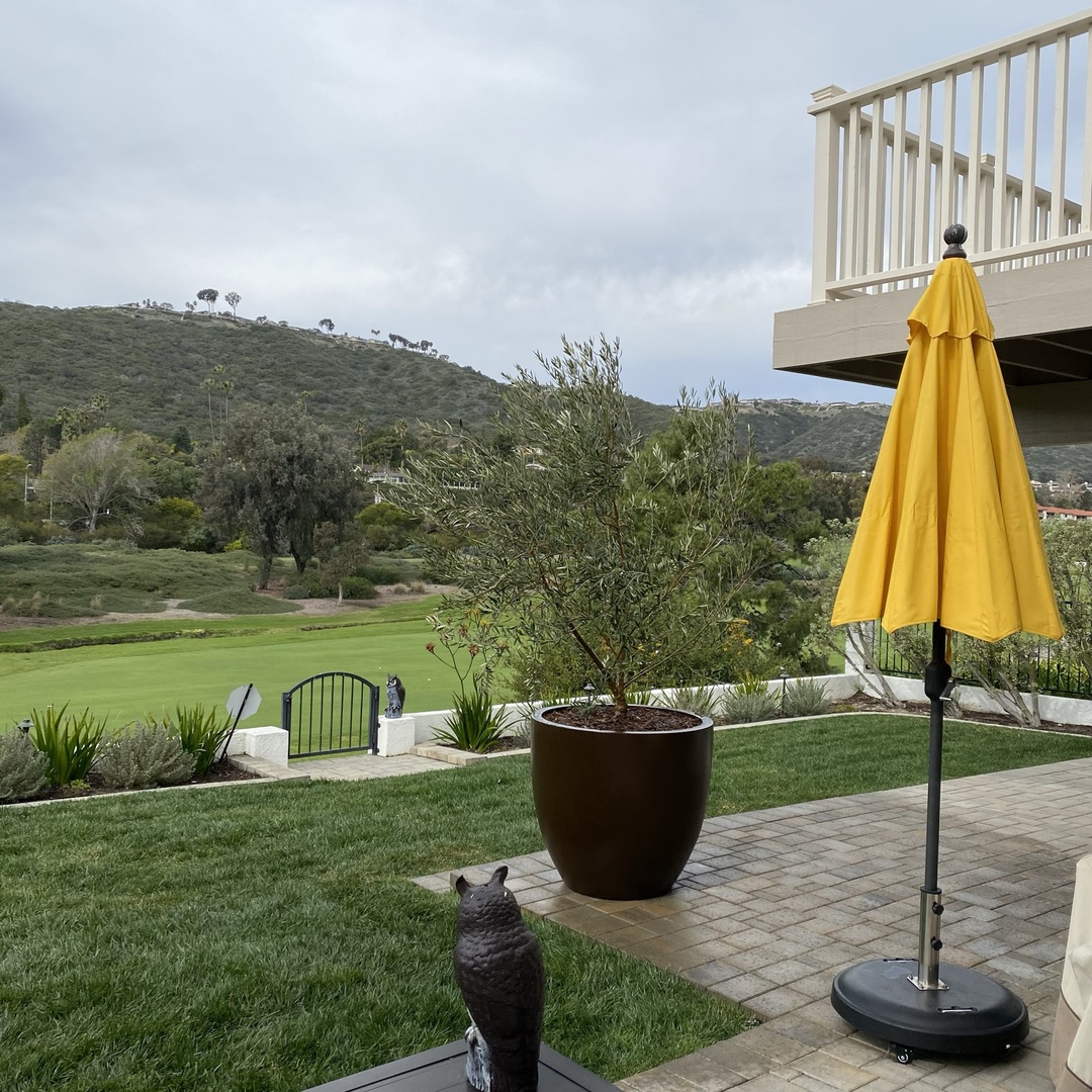 Elevating Your Outdoor Oasis: Embrace the Grandeur of Large Pots For ...