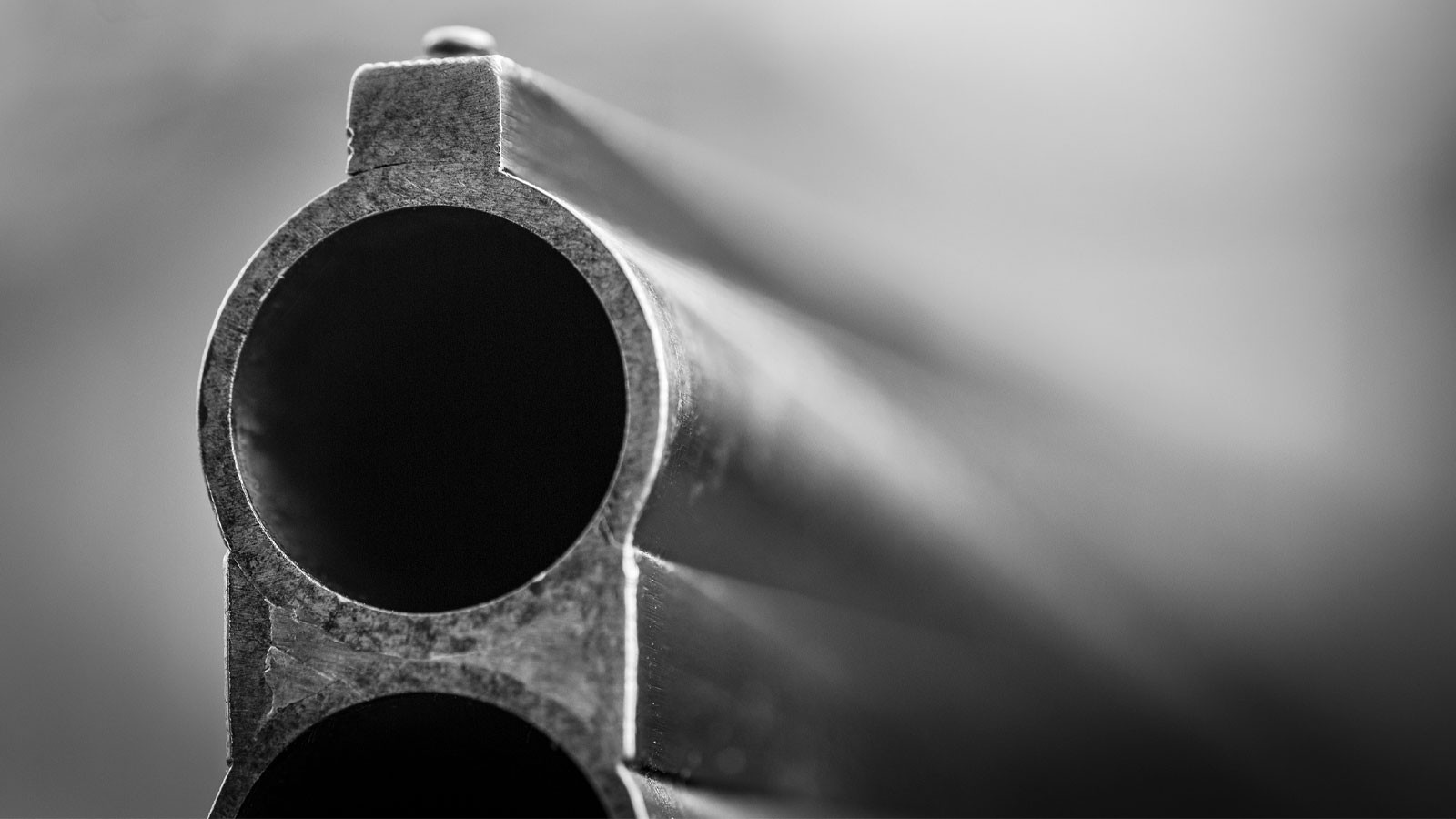 Royal Sporting Arms - Your Elite Dealer for New and Used Shotguns