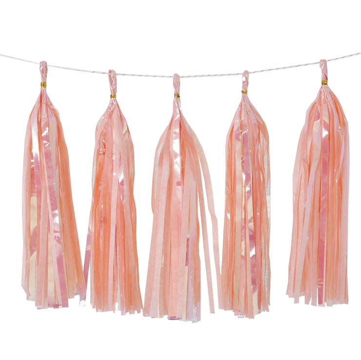 Holographic Candy Tassel Garlands DIY Kit (5 Tassels) - All Candy Peach ...