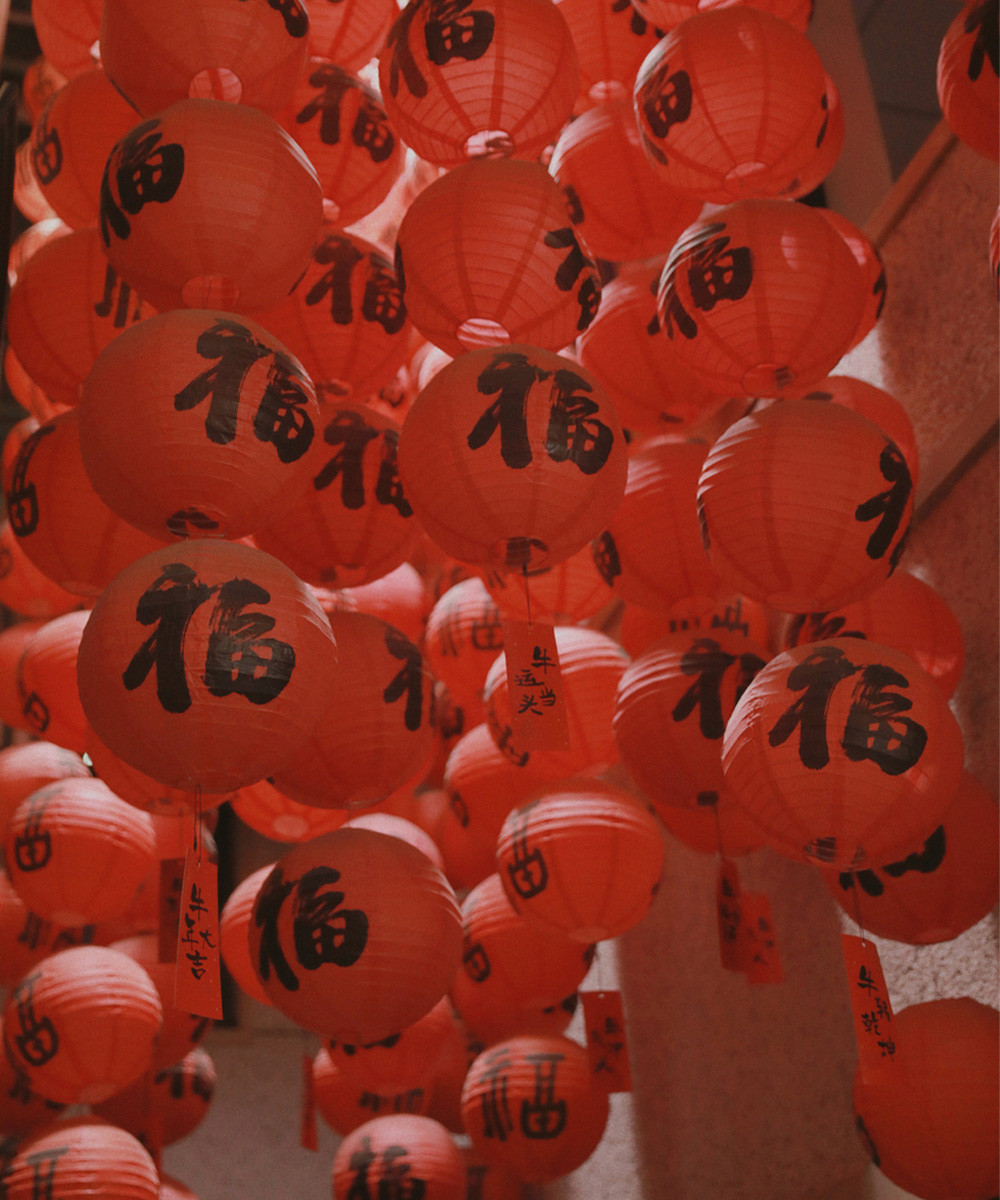 Happy Chinese New Year Paper Lantern (30cm) - Prosperity 福