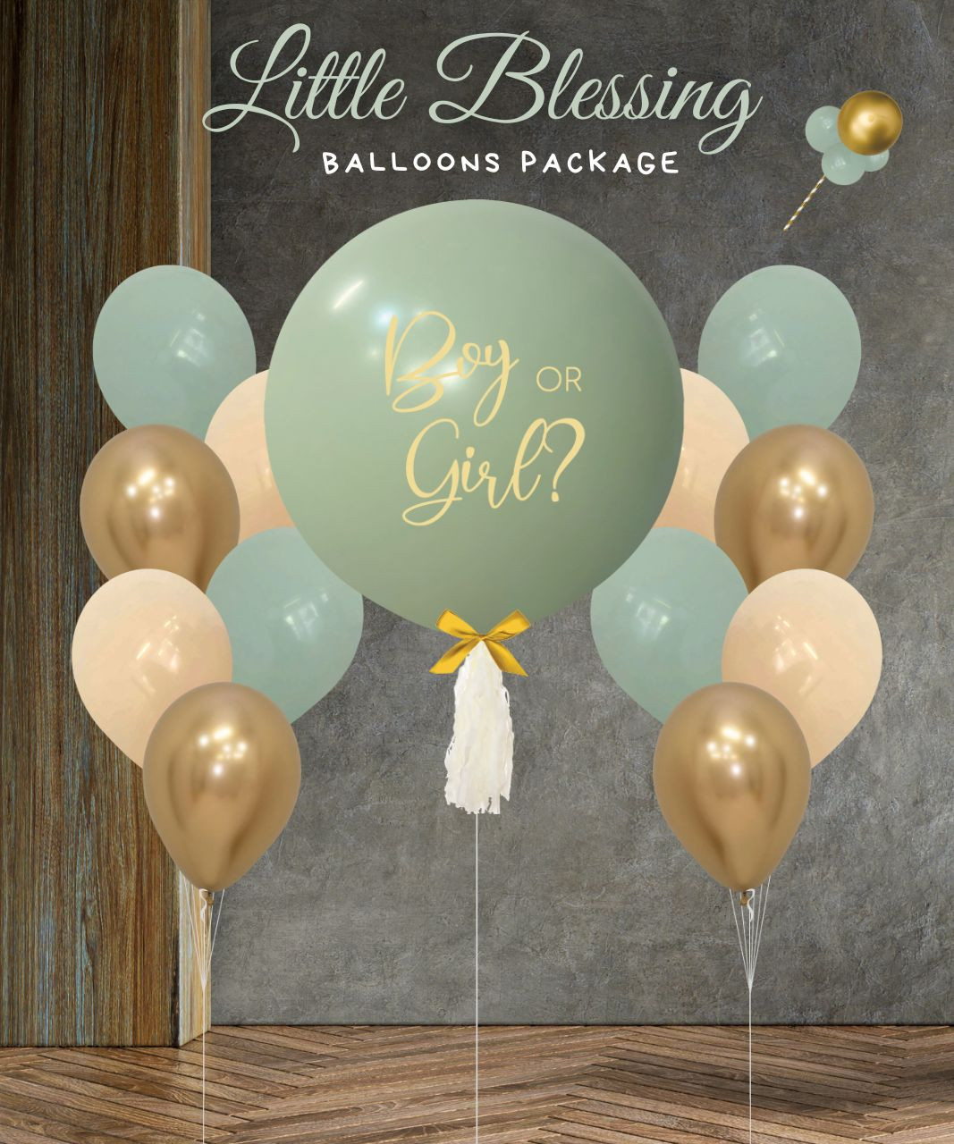 Give Fun Easy Set Up Free Balloon/Balloons Package