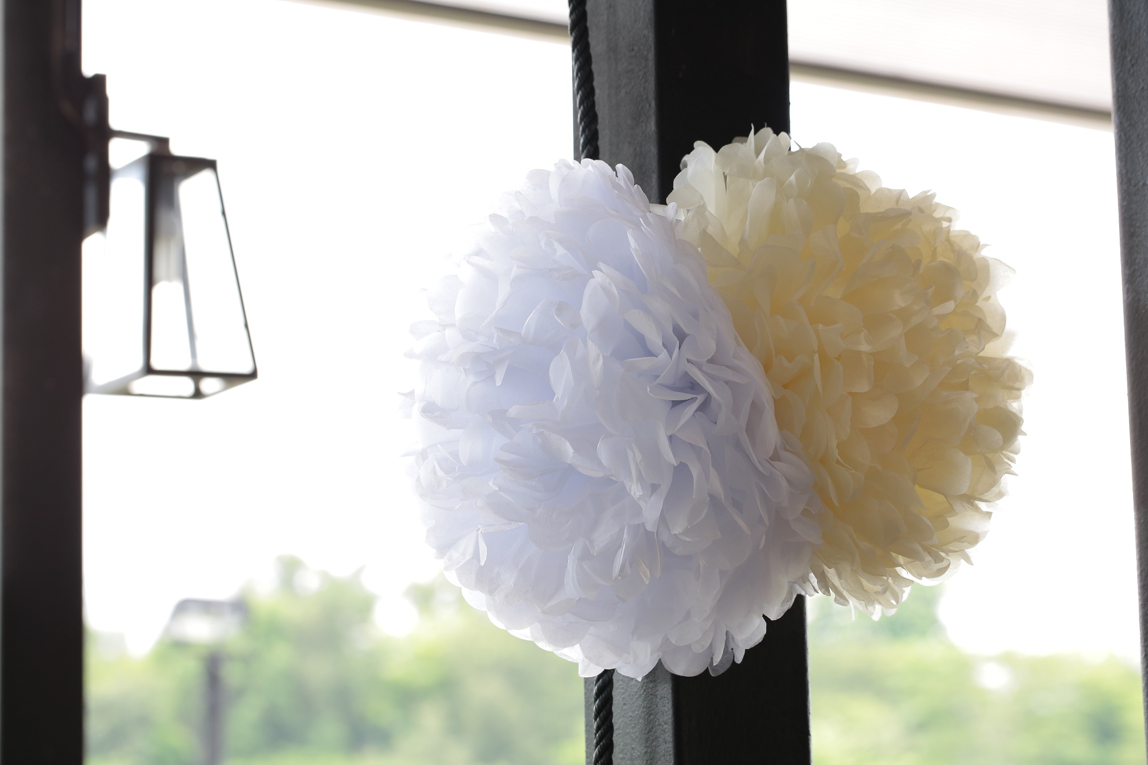 Meredith's Full Month Celebration - Give Fun