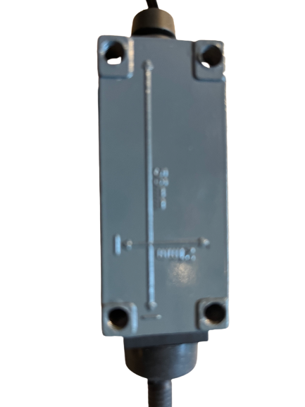 Wobble Switch for People with Disabilities