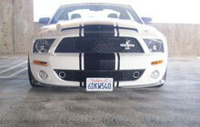 2007-2009 Ford Mustang Shelby GT500 Super Snake - Removable Front ...