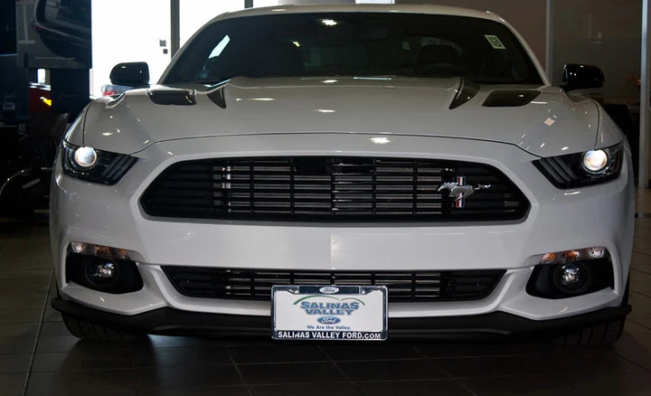 2015-2017 Ford Mustang Shelby GT500 Super Snake - Removable Front ...