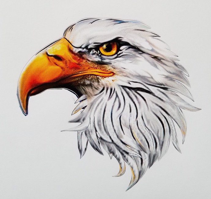 American Eagle Head Sticker