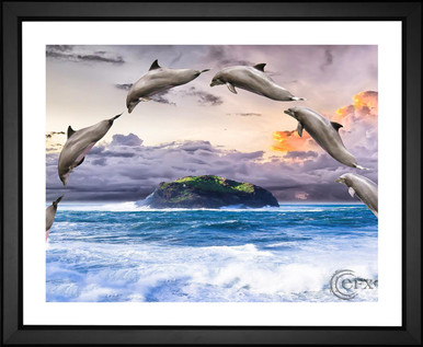 Dolphin Arch Fine Art Print Giclees