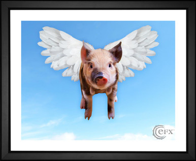 When Pigs Fly Fine Art Print Giclees