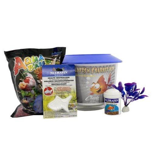 Cheeko Goldfish Starter Kit - Petworlddirect