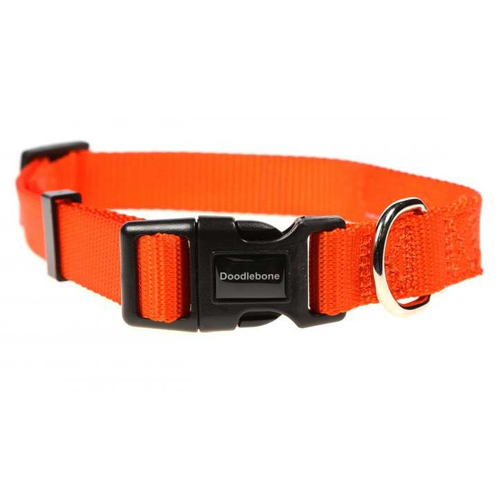Doodlebone Adjustable Dog Collar - Tangerine - Petworlddirect