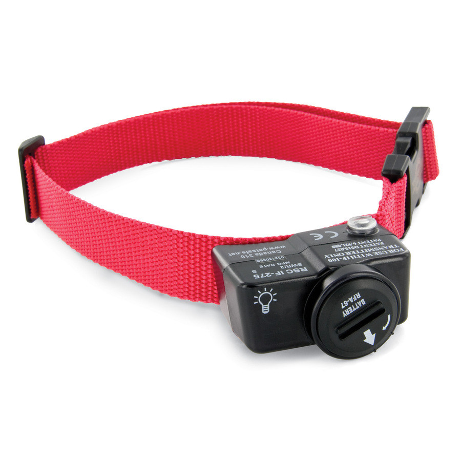 Buy Petsafe Electric Dog Collars & Wireless Radio Fence