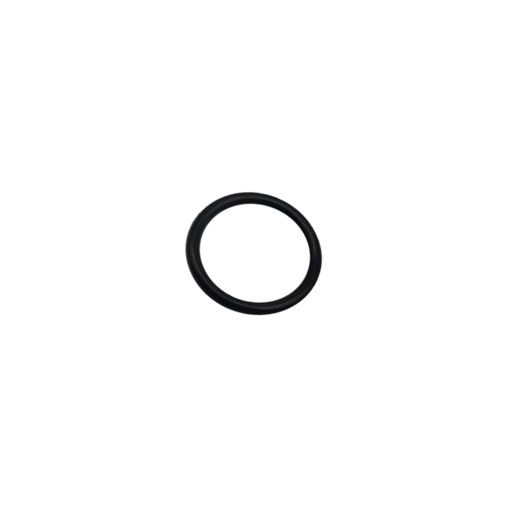 VRBP100 - Gas Block O Ring
