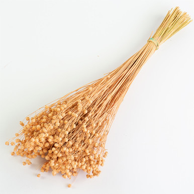 50cm Dried Coral Misty Linum (Flax) Bunch - 85g (1)