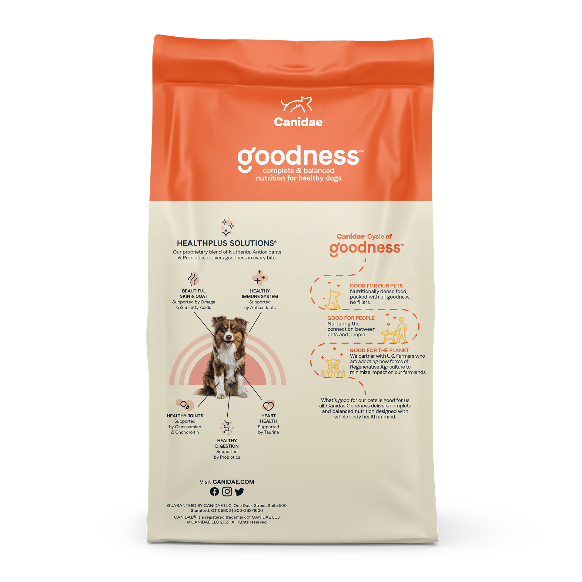 Goodness Dry Dog Food: Real Beef & Oatmeal — Canidae
