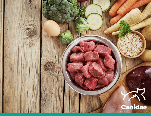 Human Grade Dog Food − What Is It and Is It Good for Your Pup? - Canidae