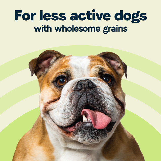 All Life Stages Less Active Dry Dog Food: Chicken, Turkey, & Lamb Meal ...