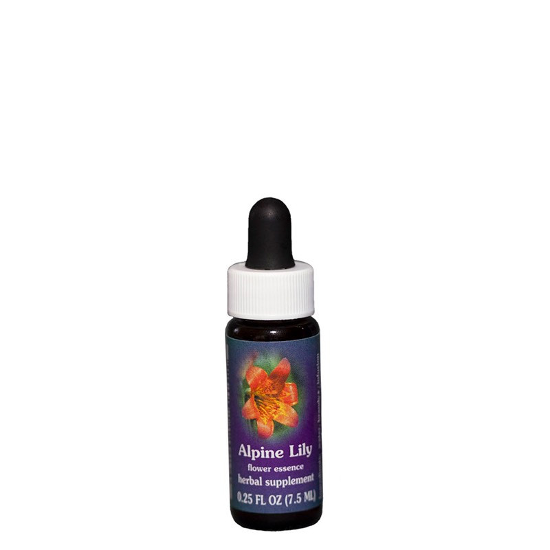 Alpine Lily by Flower Essence Services