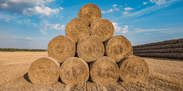 Mahindra Loader Valve Parts: Shop Online At Reubicon - Reubicon ...