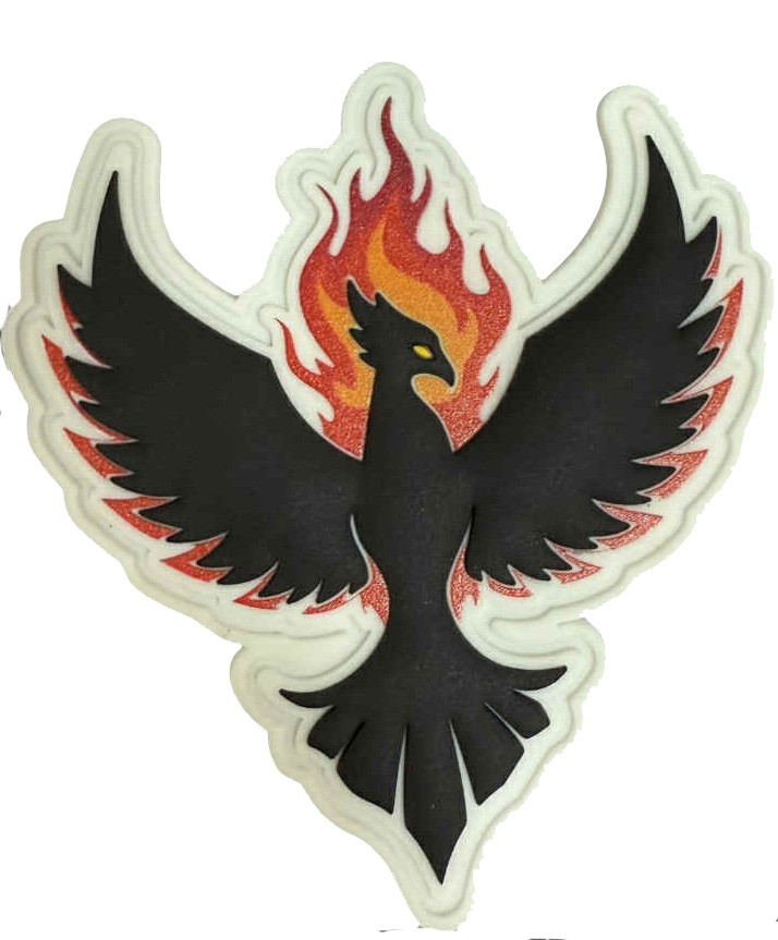 Phoenix Printed 3D PVC Patch with GLOW! - TUFF Products