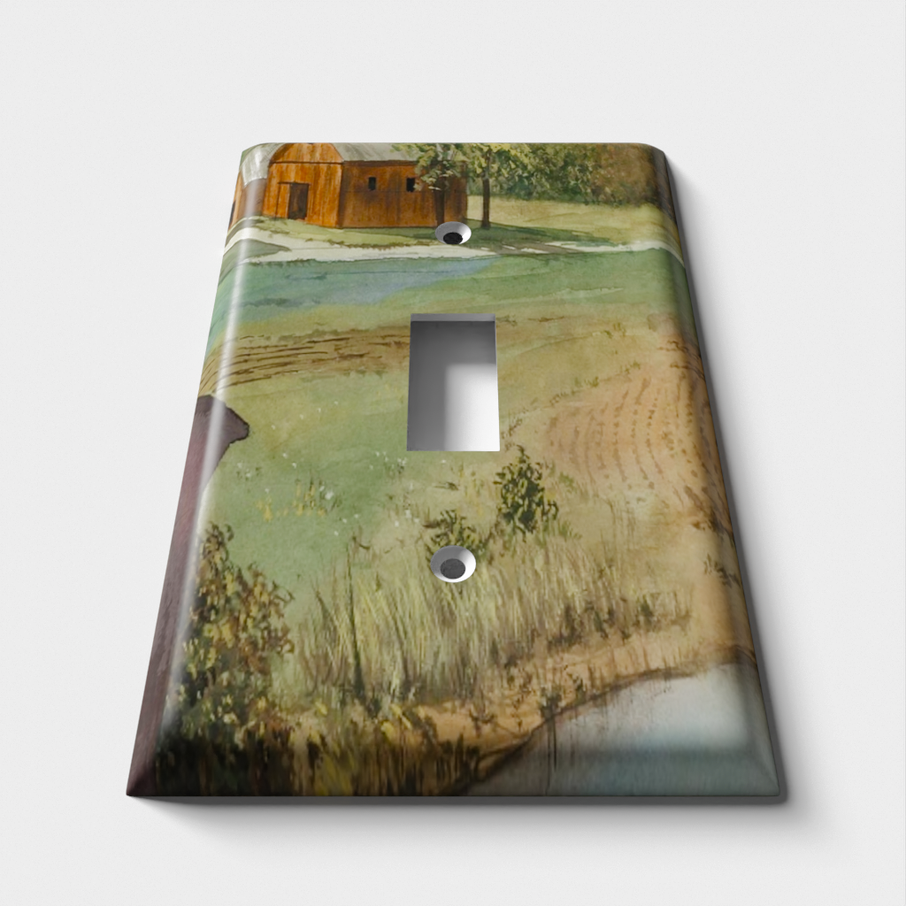 Country and Western Switch Plates