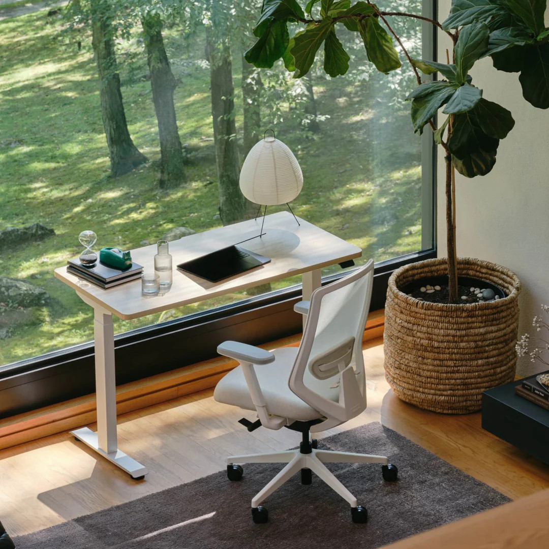 Branch Furniture Ergonomic Chair Pro | OfficeChairsUSA