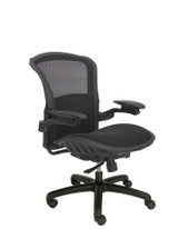 Viper Executive Ergonomic Chair with Lumbar Support - Dauphin
