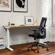 Branch Furniture High Back Office Task Chair with Armrests