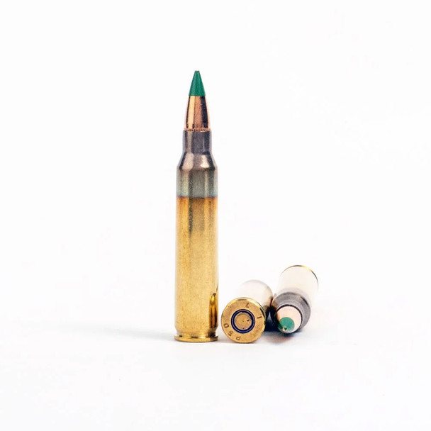 PMC 556x45mm 62gr M855 LAP Green Tip Ammo 556K-BP