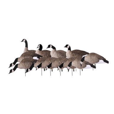 AVERY GHG Pro-Grade Lesser Canada Harvester 12 Pack Decoys 72323