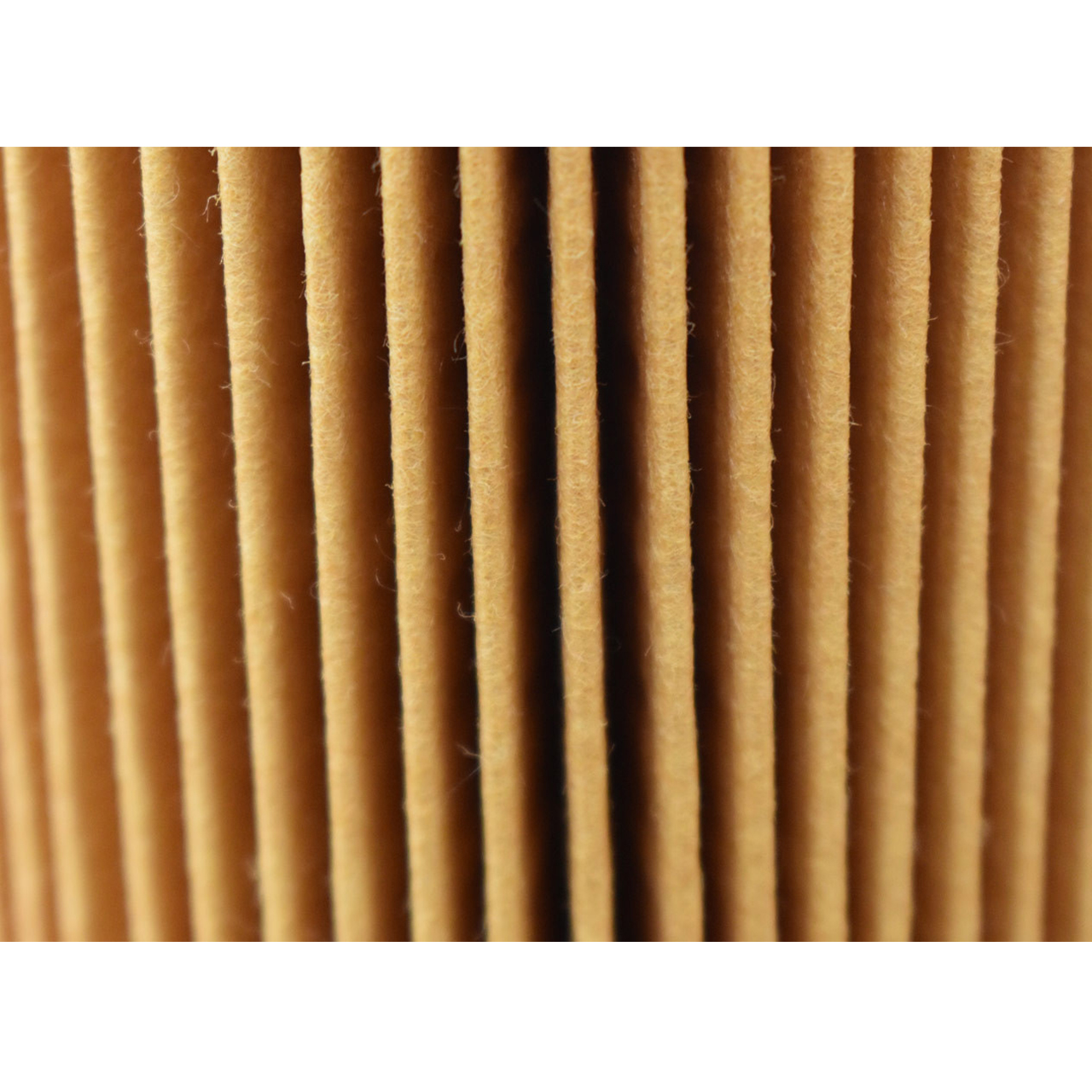 Genesis Oil Filter | Genesis Parts and Accessories