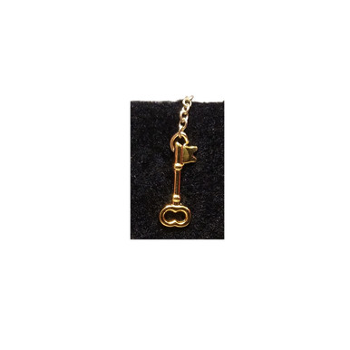 Gold Key Guard Treasurer - Auxiliary Pin - DAV