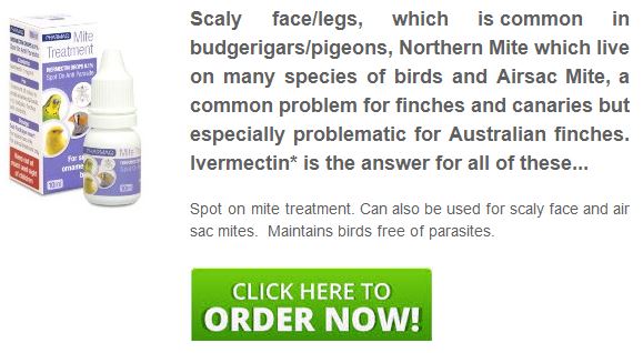 A guide to common bird keeping problems - The Birdcare Company - bird ...