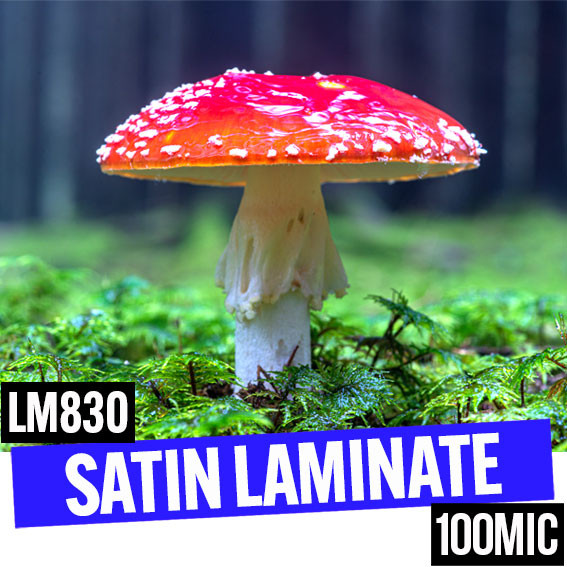 Satin Laminate 100mic 1040mm x 100m