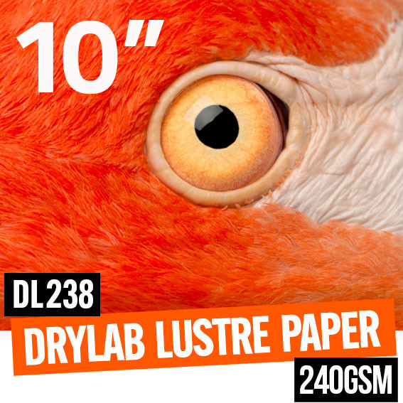 DryLab Lustre true multi-layer photo paper 240gsm 10" x 65m