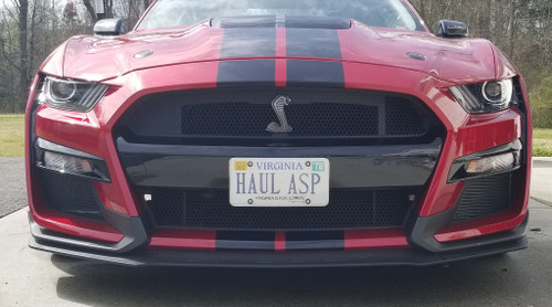 Custom License Plate Bracket, Shelby Mustang, GT500 2020+ - Carroll ...