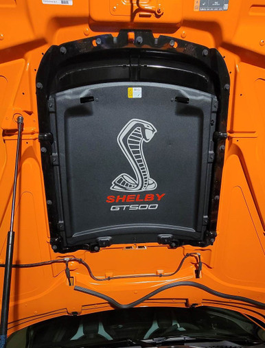 Rain Guard Under hood Decal